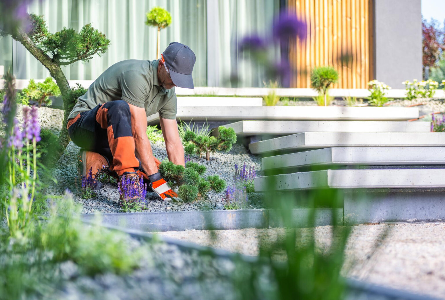 Best Low-Maintenance Landscape Designs for Yards